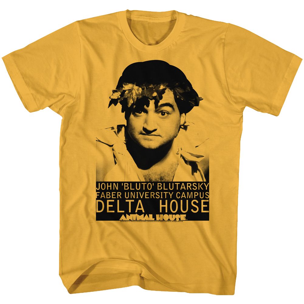 Animal House Movie Face Solid Ginger Adult T-Shirt | Wholesale Movie T ...
